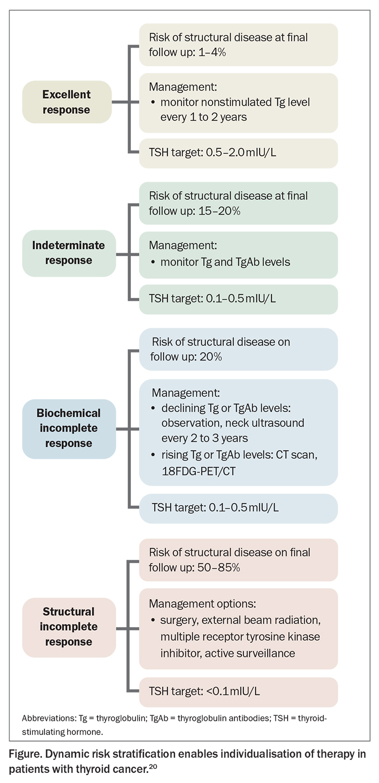 Differentiated thyroid cancer: an individualised management approach | Endocrinology Today